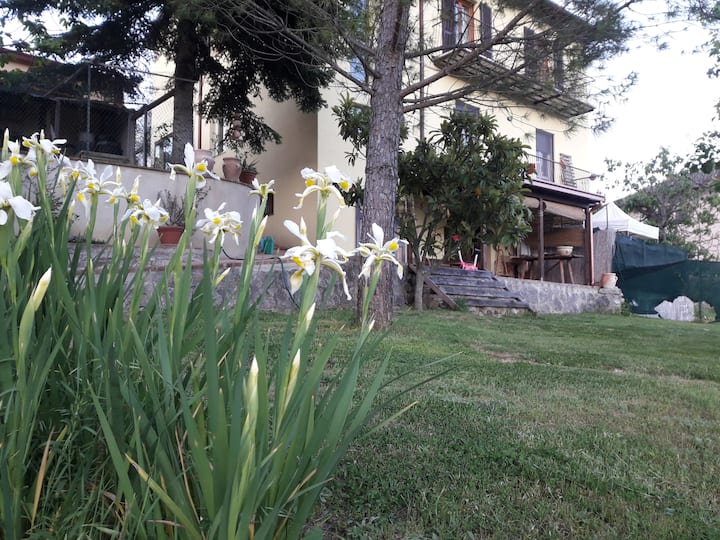 Pratico Ed Accogliente - Perugia