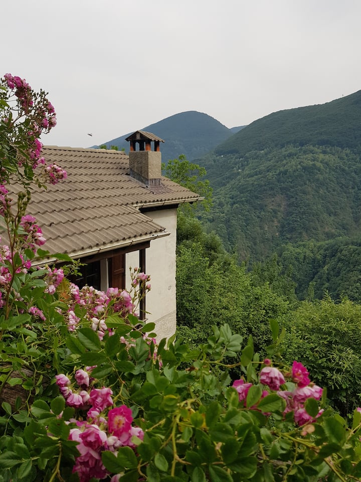 Casa Piccola,  Bergwelten Hinter Dem Lago Maggiore - Cannobio