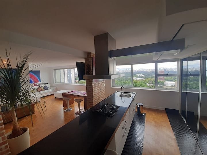 Ibirapuera Park View - São Paulo