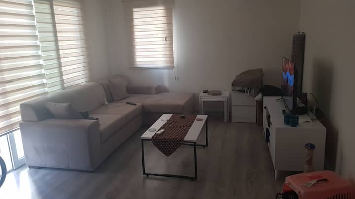 Kedili Bir Ev Iyi Tatiller - Girne