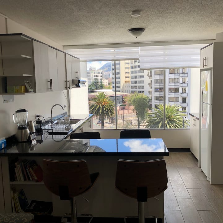 Excellent Location And Comfort Near La Carolina Metro Station - Quito (Ecuador)