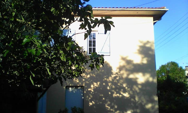 Appartement Albert 2 - Limoux