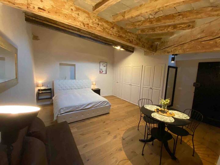 Ricasoli Suite - Florence