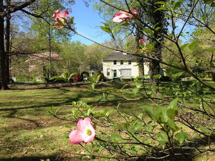 Dogwood Room In Dogwood Manor Guesthouse - Huntsville, AL