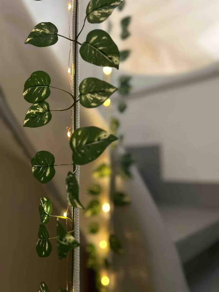 House Adriana - Valletta