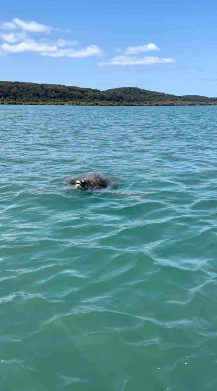 Canaipa Retreat - Russell Island