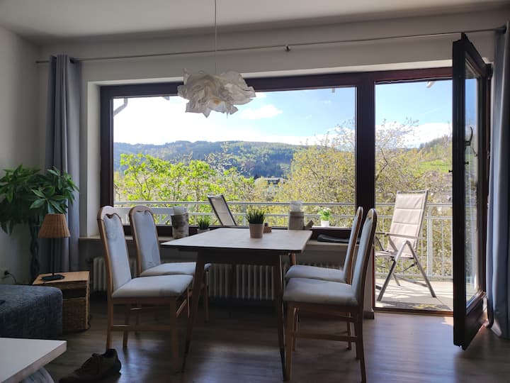 Ferienwohnung Gießstein: Entspannung Und Natur - Usseln