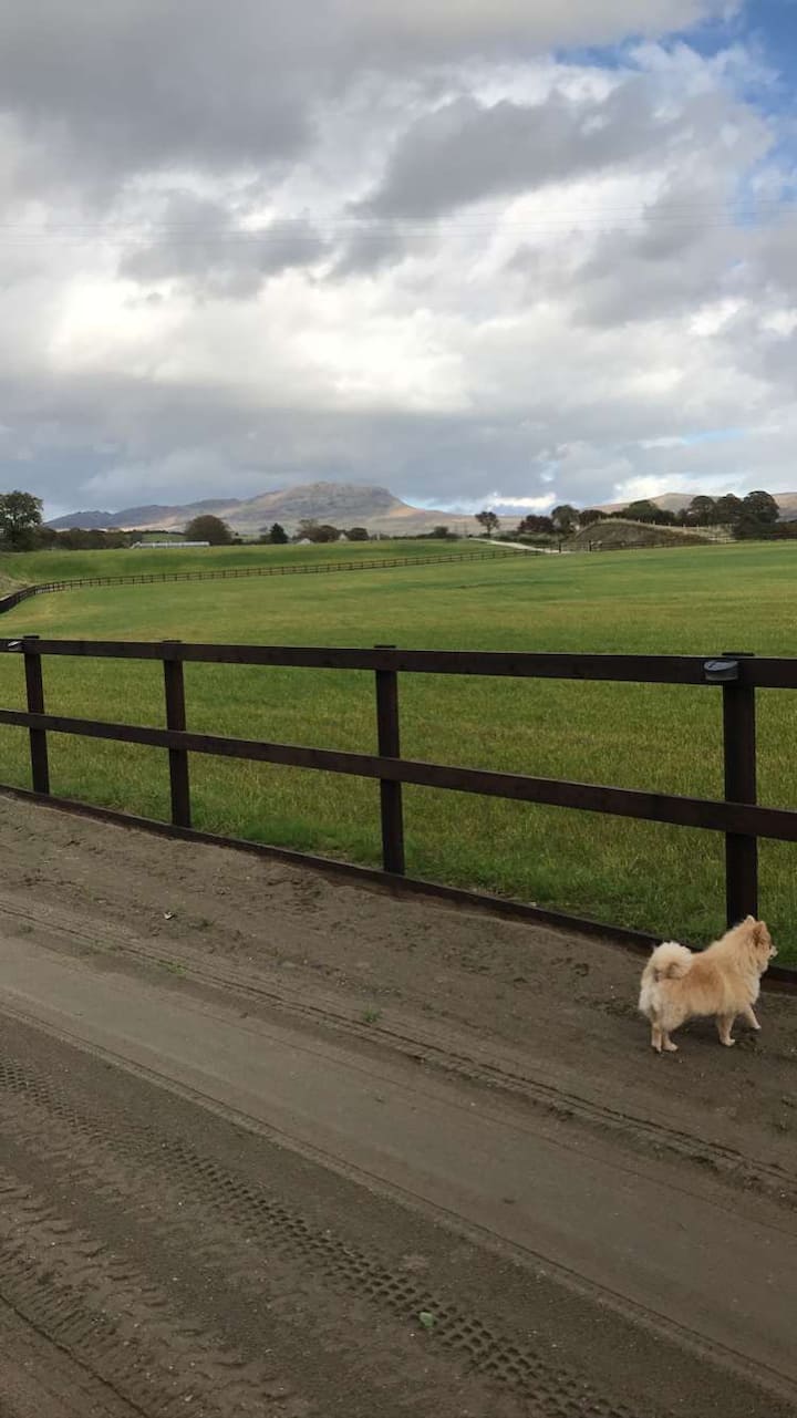 Loughanmore Court Beach House Close To Carlingford - Carlingford