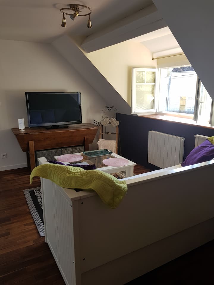 18 Châteaux Et Beauval Sur 30 Km - Montrichard