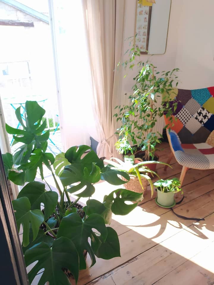 Chambre Calme + Petit Déjeuner - Périgueux