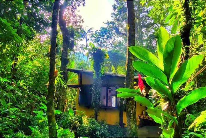 Casa Da Floresta Em Camburi Com Wi-fi - São Sebastião