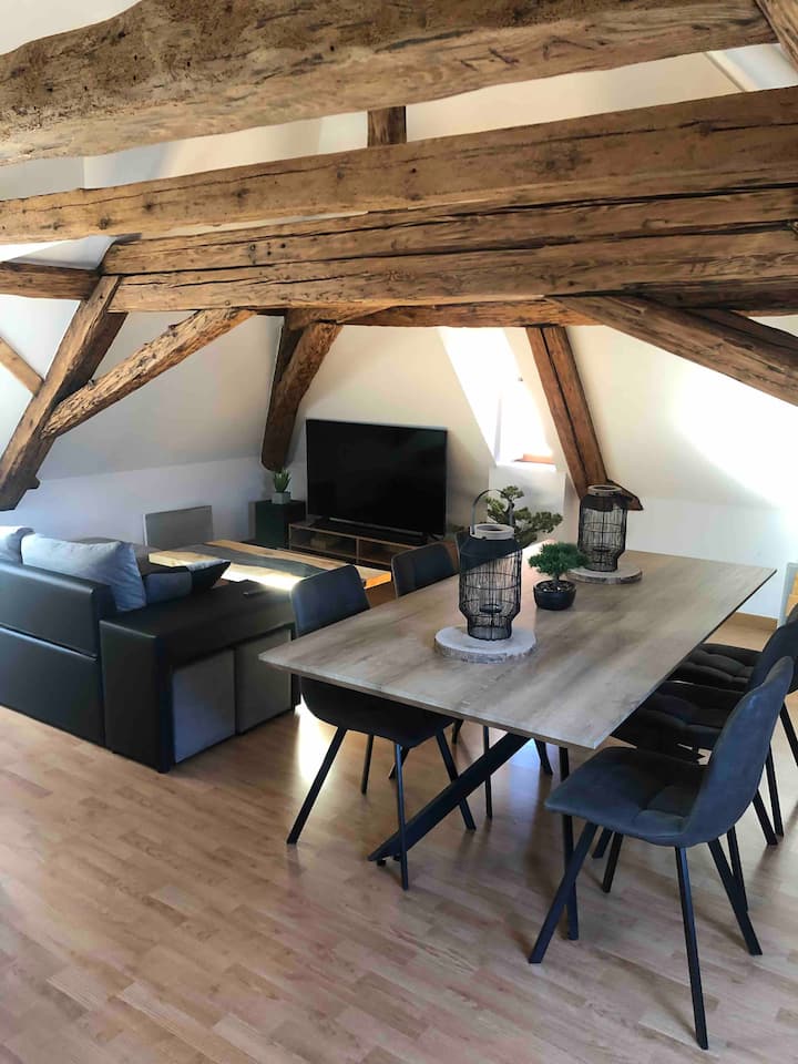 Appartement Au Centre Ville D’obernai - Ottrott
