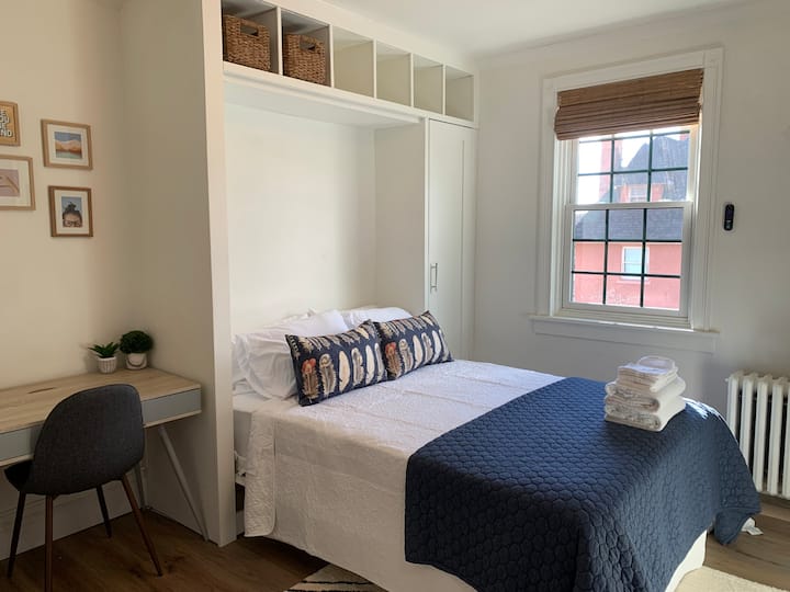 ⁂ Updated Studio Apartment In Allentown⁂ - Buffalo, NY