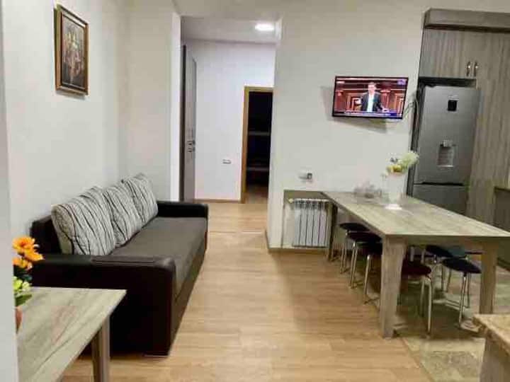 New 4 Bedroom Apartment In The Center Of Yerevan! - Armenia
