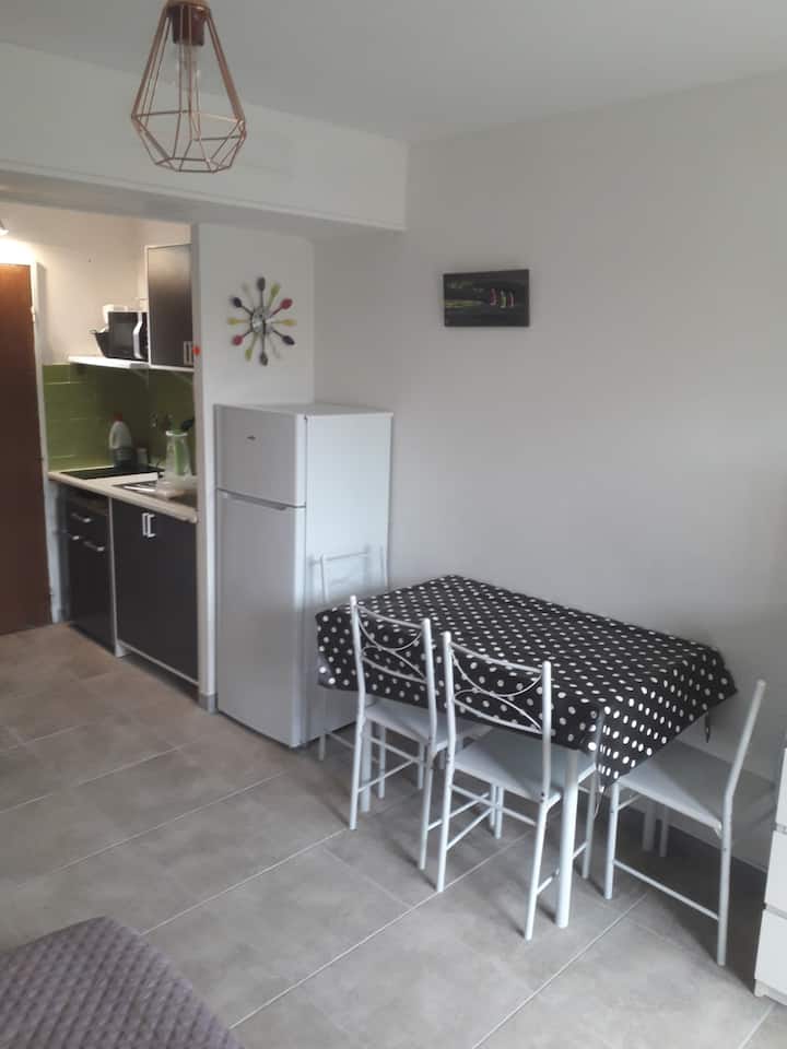 Studio Rénové Avec Vue Sur Parc Ch. De Gaulle - Bouzigues