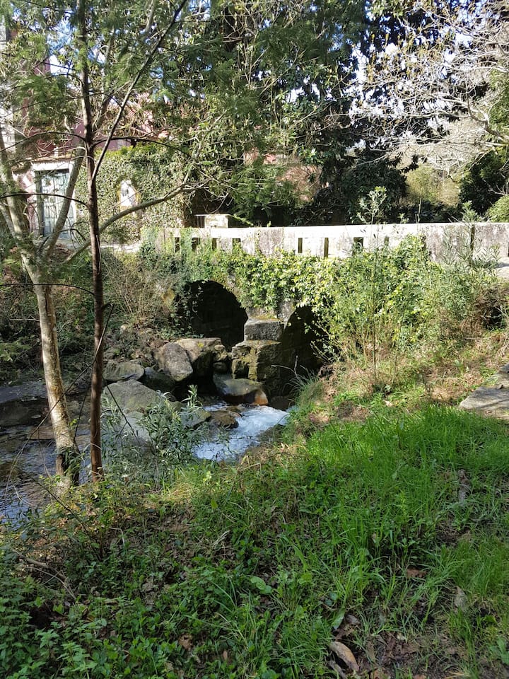 A Paz Do Campo E A Praia Tão Perto. - Viana do Castelo