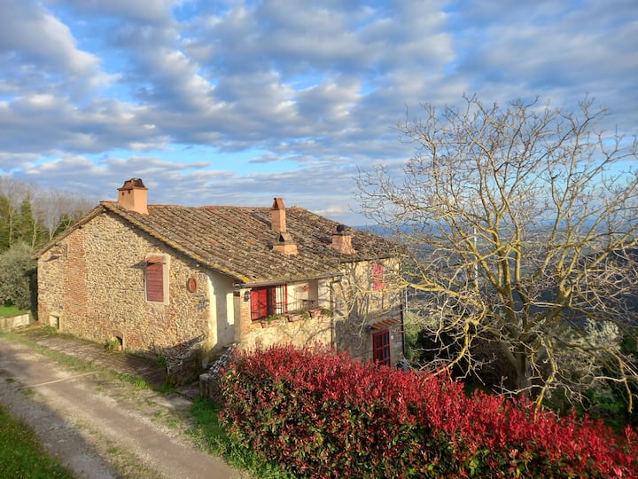 Il Rustico Vicopisano - Pontedera