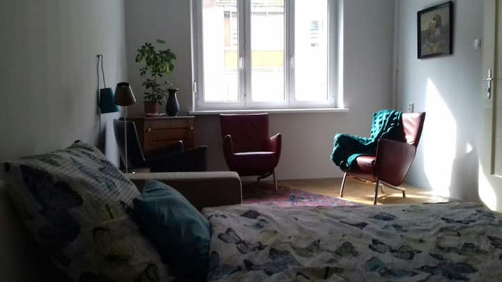 Quiet Two-bedroom Apartment In Central Location - Wien