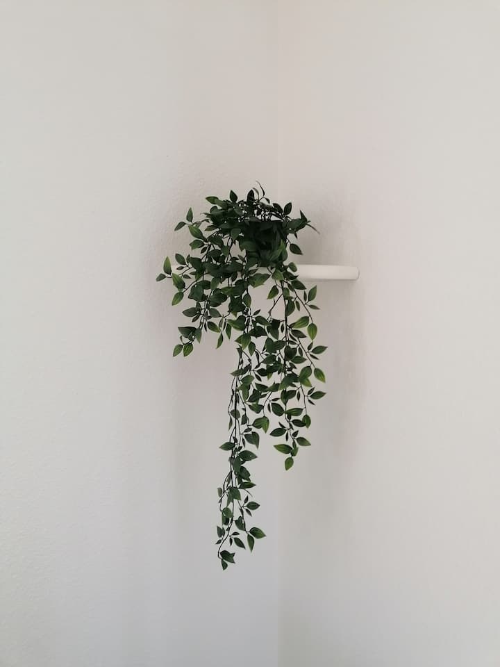 Logement Plus Loué N'existe Plus - Saint-Pierre-de-Chartreuse