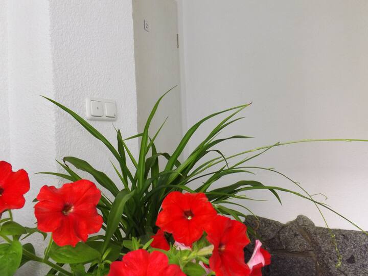 City-ferienwohnung-bautzen - Bautzen