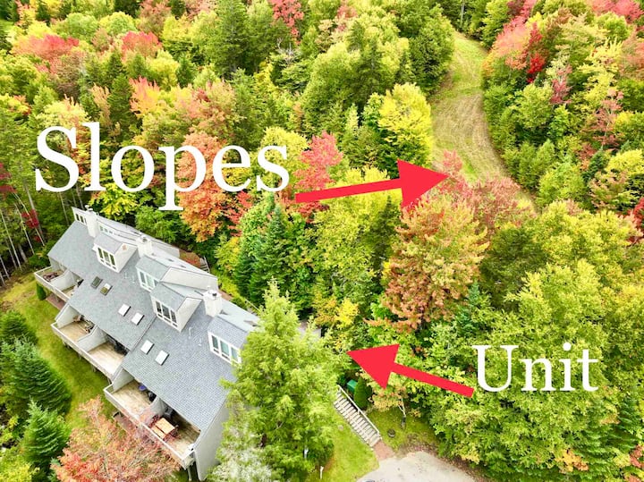 Ski In Ski Out  5 Bedroom Pools Passes 1 Gig Wifi - Bretton Woods, NH