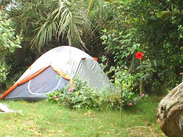 Camping /Carpas Villainvisible - Barra de Valizas