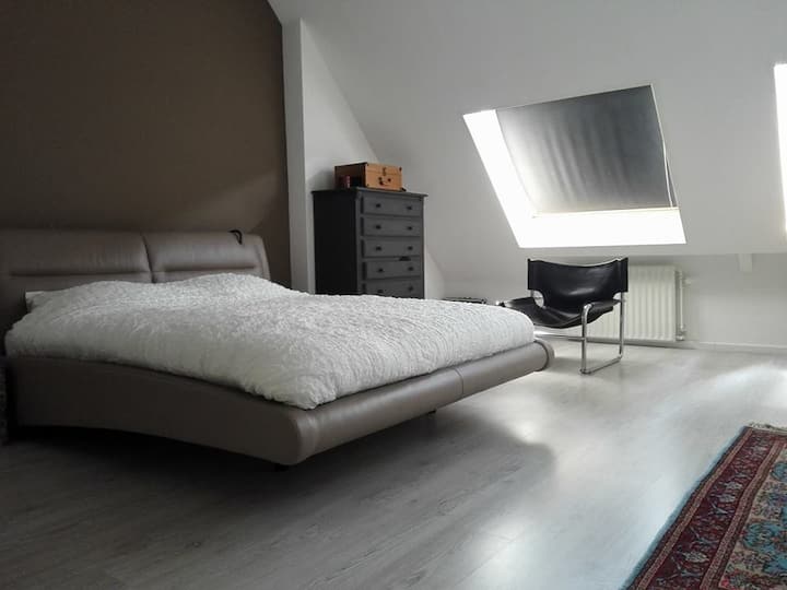 Bright And Spacious Room In Center Of Rotterdam - Rotterdam