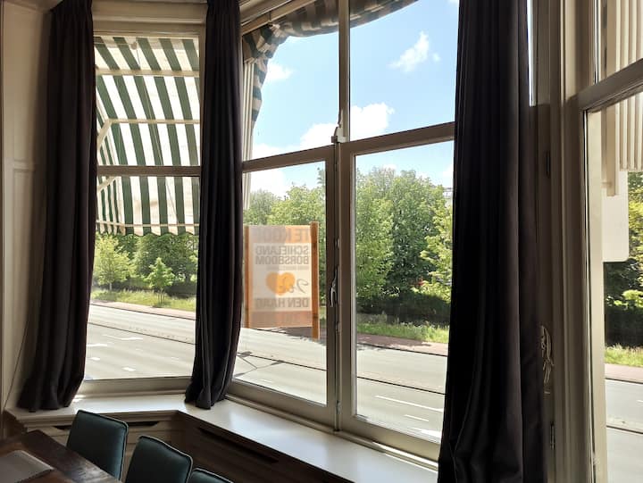 ***** Big Luxurious Mansion Apartment - The Hague