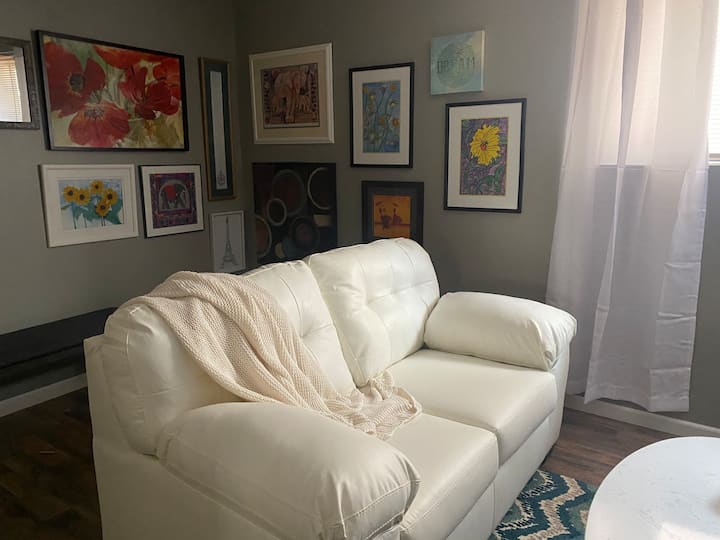 Lovely One Bedroom Rental - Uno & Unmc Omaha Ne #2 - Omaha, NE