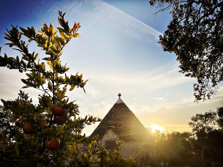 Incantevole Trullo Immerso Nel Verde - Alberobello