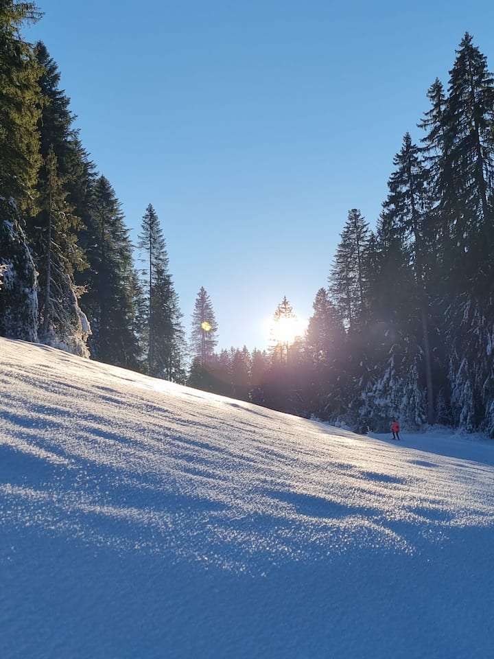 Escale 4 Jura - Jura