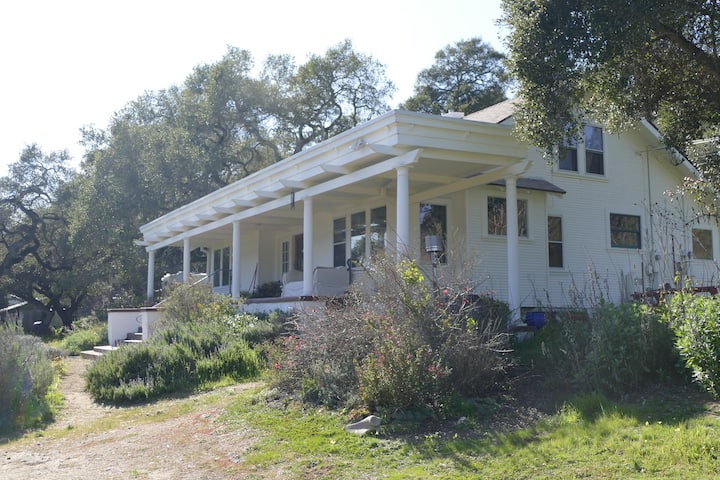 And Now For Something Completely Different - Aptos, CA