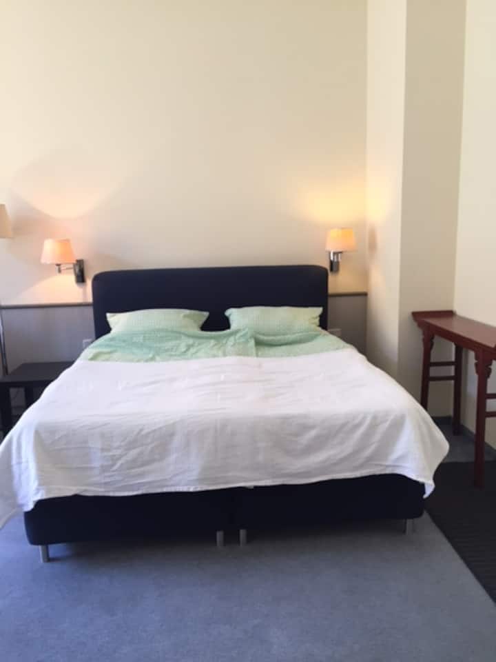 Altbau City Apartment Neustadt - Dresden