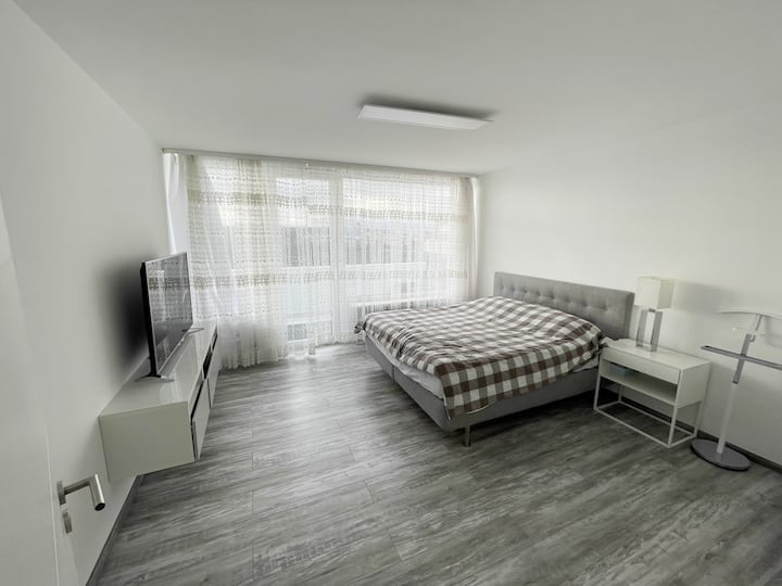 Frankfurt / Offenbach Ganze Wohnung - Fráncfort del Meno