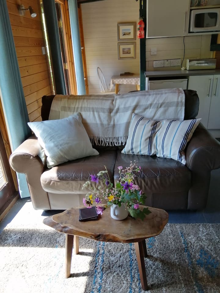 Skokholm Lake View Cabin In The Preseli Hills - Pembrokeshire
