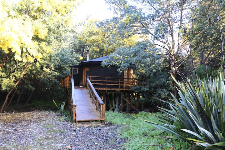 Cabaña En Reserva Los Bollenes - Constitución