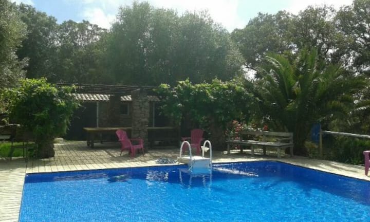 Maison De Charme : Caseddu - Tizzano