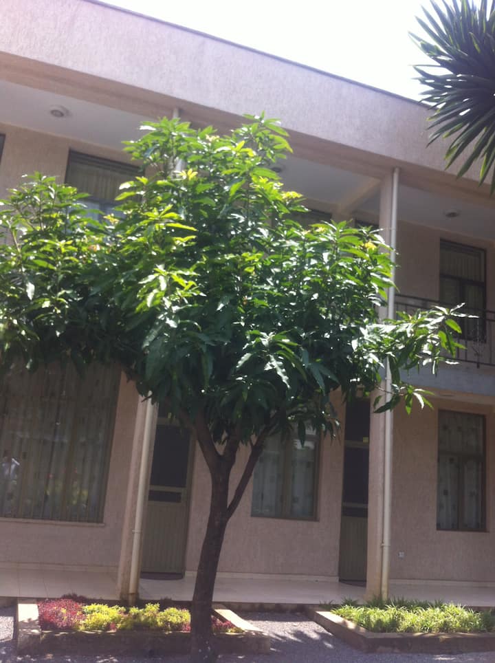 Neat And Comfortable Rooms With Wifi - Bahir Dar