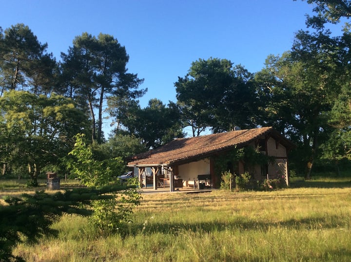 Un Havre De Paix Dans La Forêt Landaise - Mézos