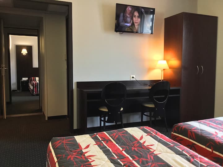 Room Suite 4 Pax Parking Proche Sanctuaire - Lourdes