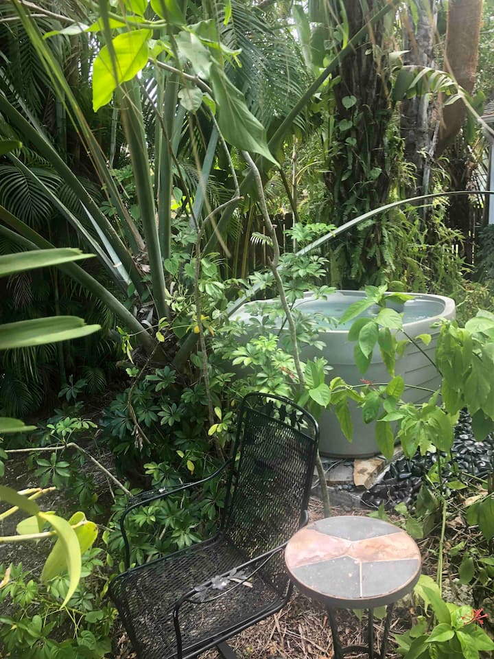 Jungle House - Naples, FL