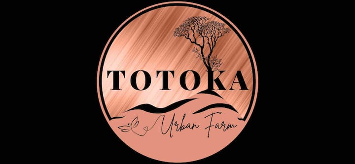 Totoka Urban Farm - Stirling