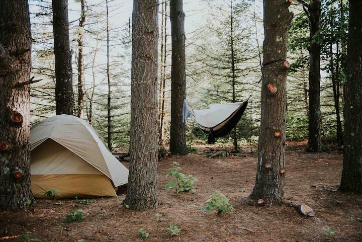 Take A Sun Shower @ Camp Squid Off The Grid! - Frankfort, MI