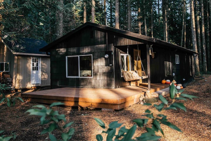Curated Southwest Inspired Cabin, Studio & Sauna - Rhododendron, OR