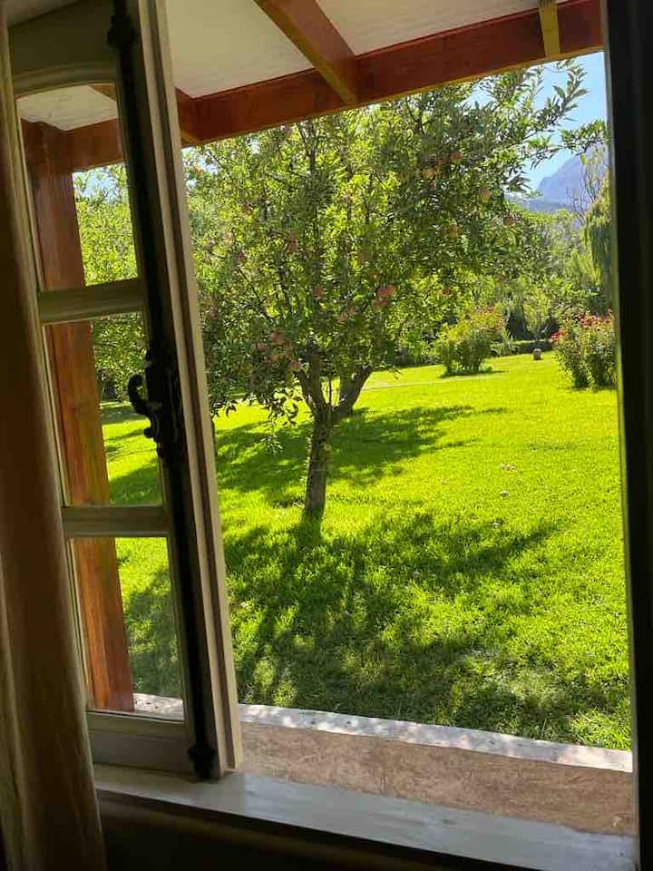 Parque / Cabaña / Cajon Del Maipo / Full Internet - San José de Maipo
