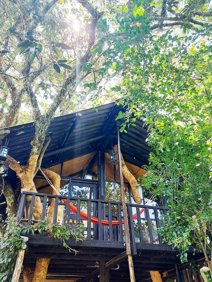 La Casa Del Arbol/tree House - Quito