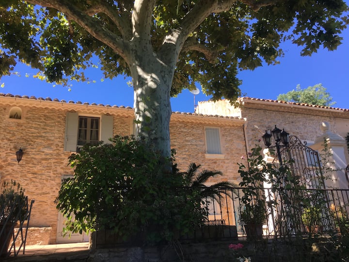 Ancien Mas Provencal - La Cadière-d'Azur