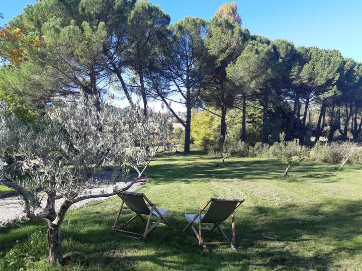 Gite La Blancherie Forcalquier - Forcalquier