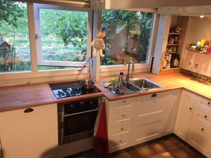 Haus Mit Feigenbaum - Schoorl