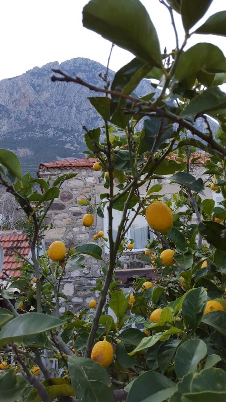 Saip Stein Haus - Saip Taş Ev - Karaburun
